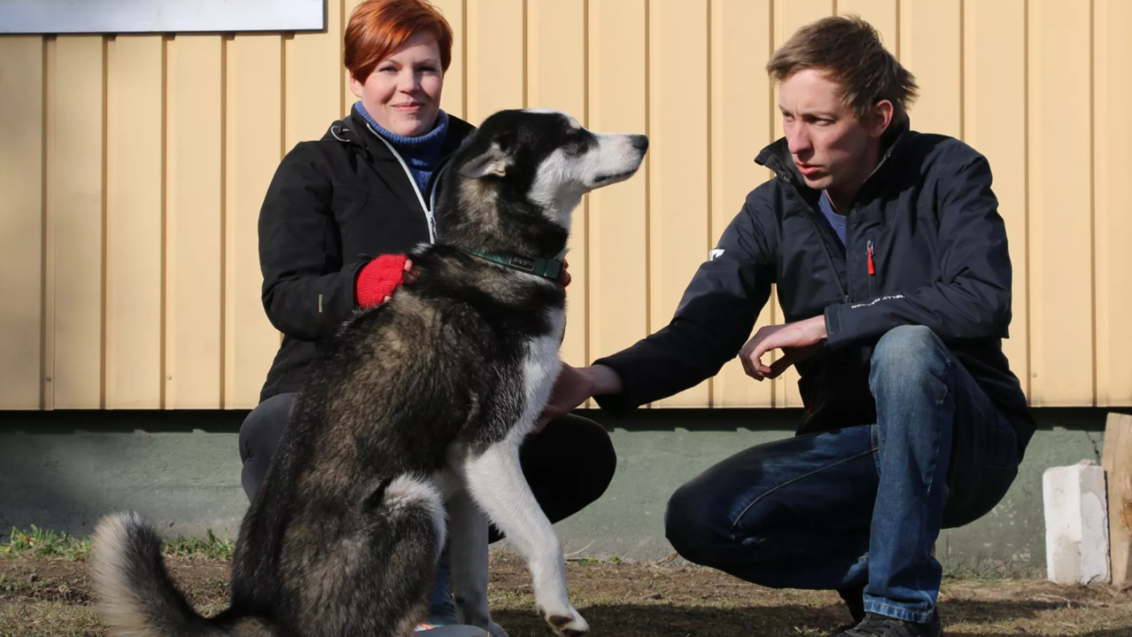 Baxterit | Kansallisihme